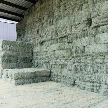Hay Plus Farms Arizona – Arizona Farm and Ranch Supplies