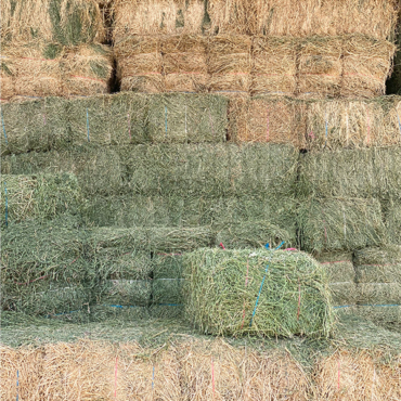 Hay Plus Farms Arizona – Arizona Farm and Ranch Supplies