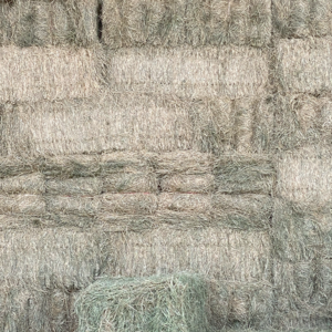 Hay Plus Farms Arizona – Arizona Farm and Ranch Supplies