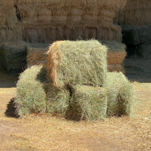 Hay Plus Farms Arizona – Arizona Farm and Ranch Supplies