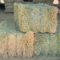 Hay Plus Farms Arizona – Arizona Farm and Ranch Supplies
